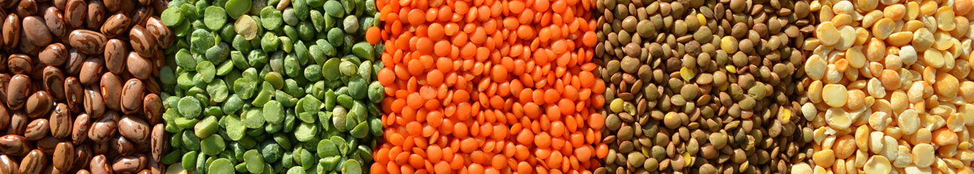 Our Bulk Department | Choices Market